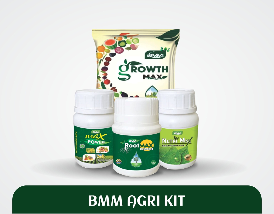 ::WELCOME TO BASUDHAMAX::